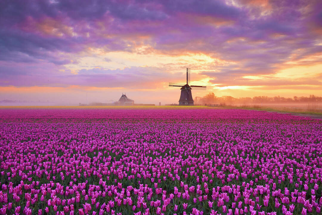 Horoscope for Thursday, 3/20/25 by Georgia Nicols