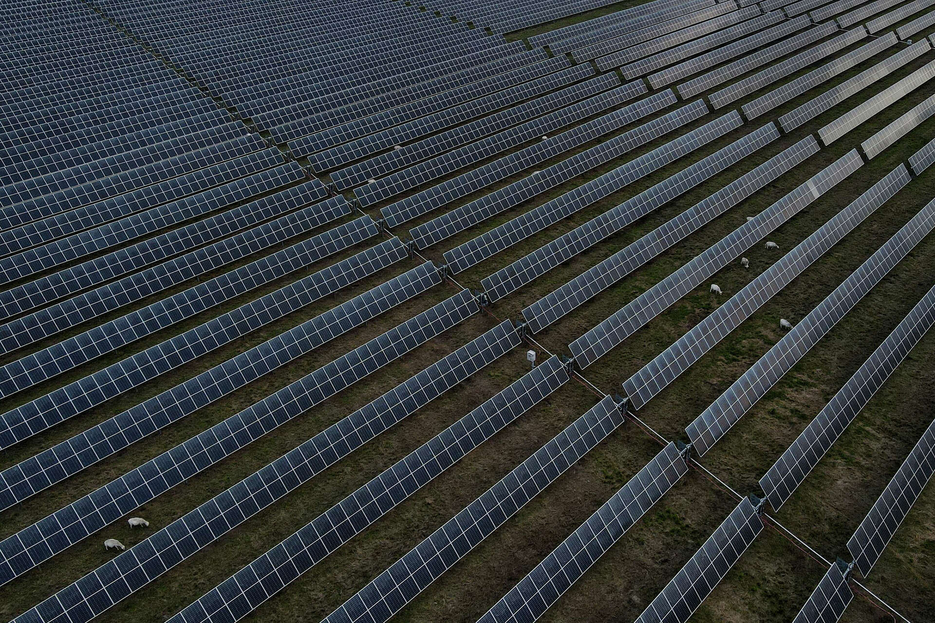 Texas clean energy at risk from state, federal lawmakers