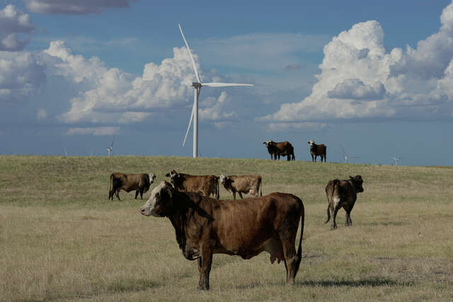 Texas clean energy at risk from state, federal lawmakers