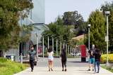Here's the list of high-demand UC majors and how to get into them