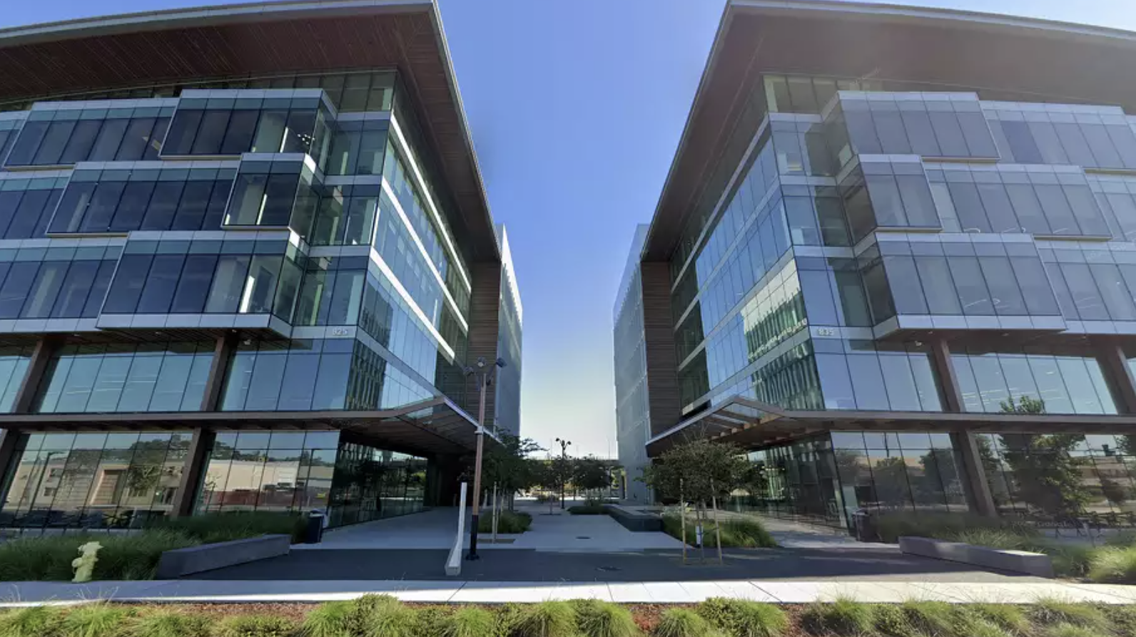 Bay Area biotech company laying off 90% of staff as CEO leaves