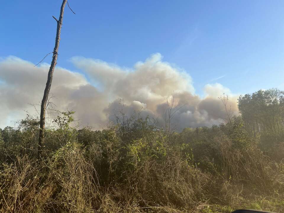 Pauline Road wildfire smoke: Health risks as Sam Houston forest burns?