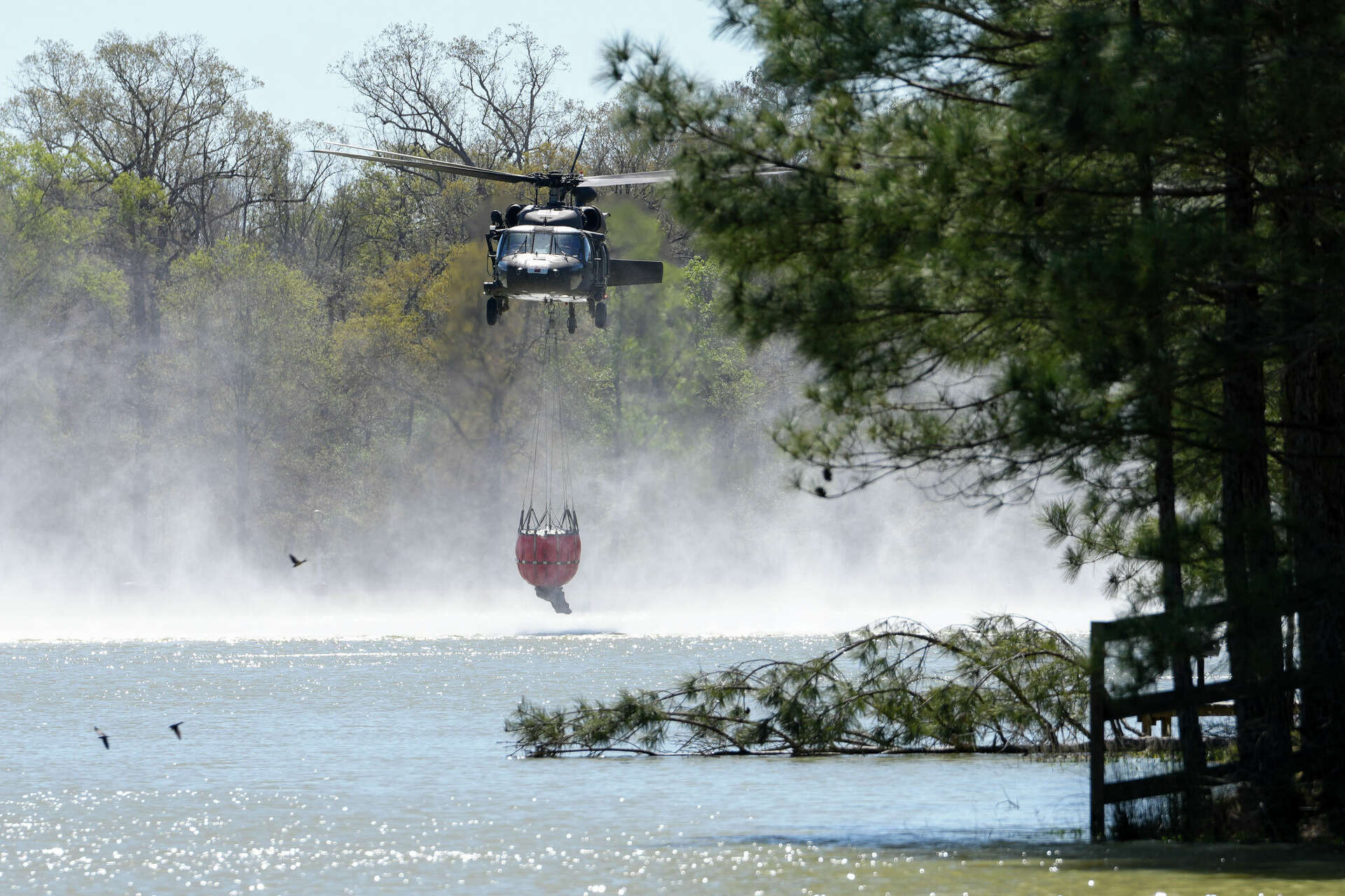 Sam Houston National Forest fire caused by controlled burn