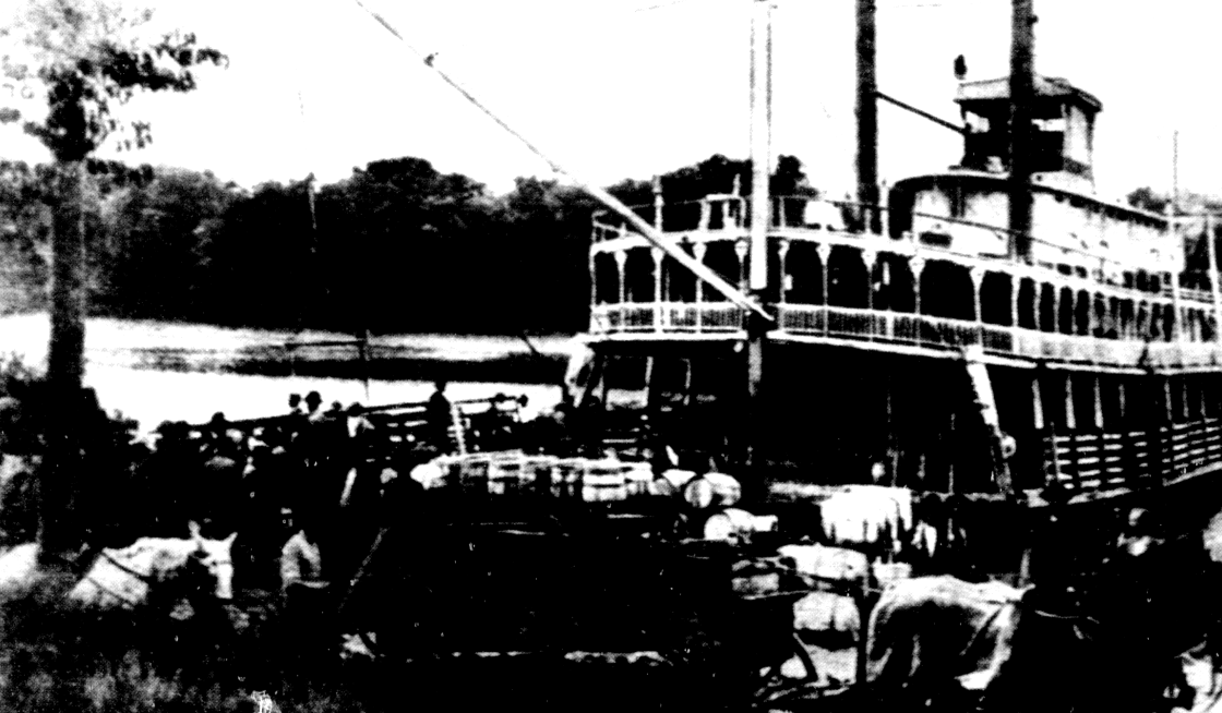 The famous Belle of Calhoun brought apples down the Mississippi River