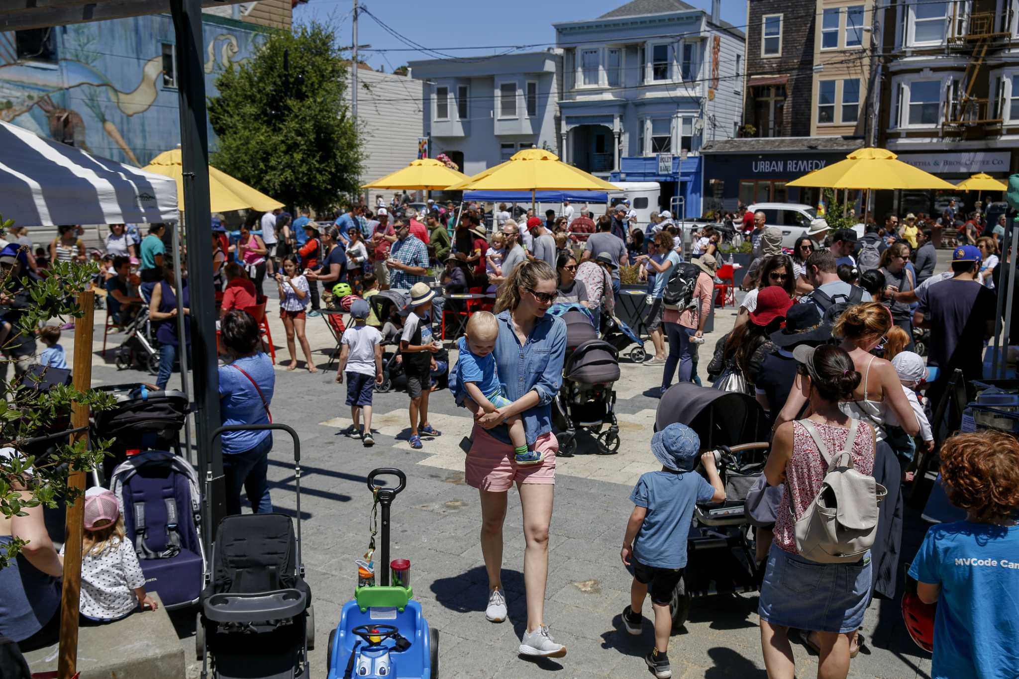 The Bay Area is buzzing with a super bloom of spring fun