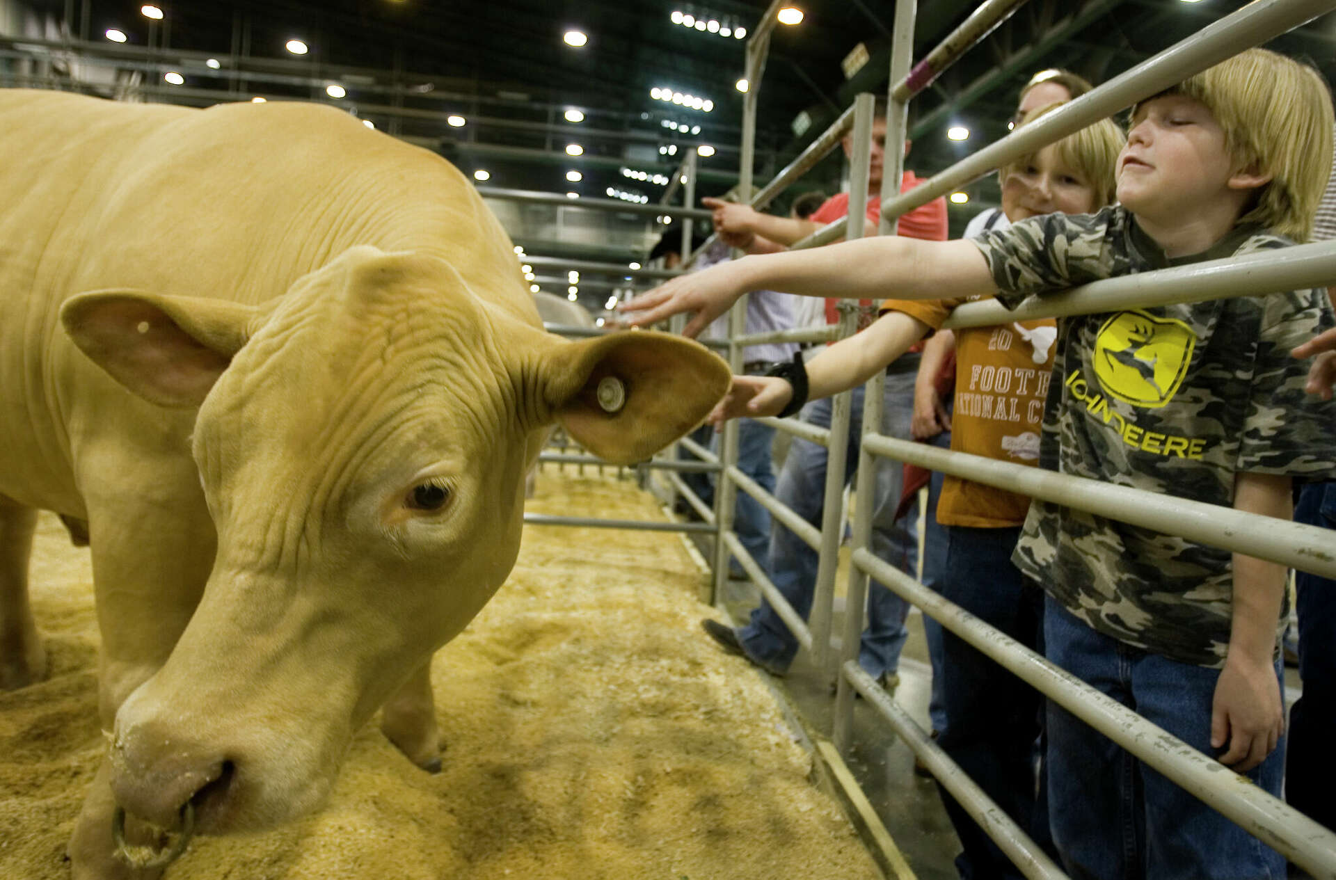 Photos: See previous Grand Champion Steers from the Houston Livestock