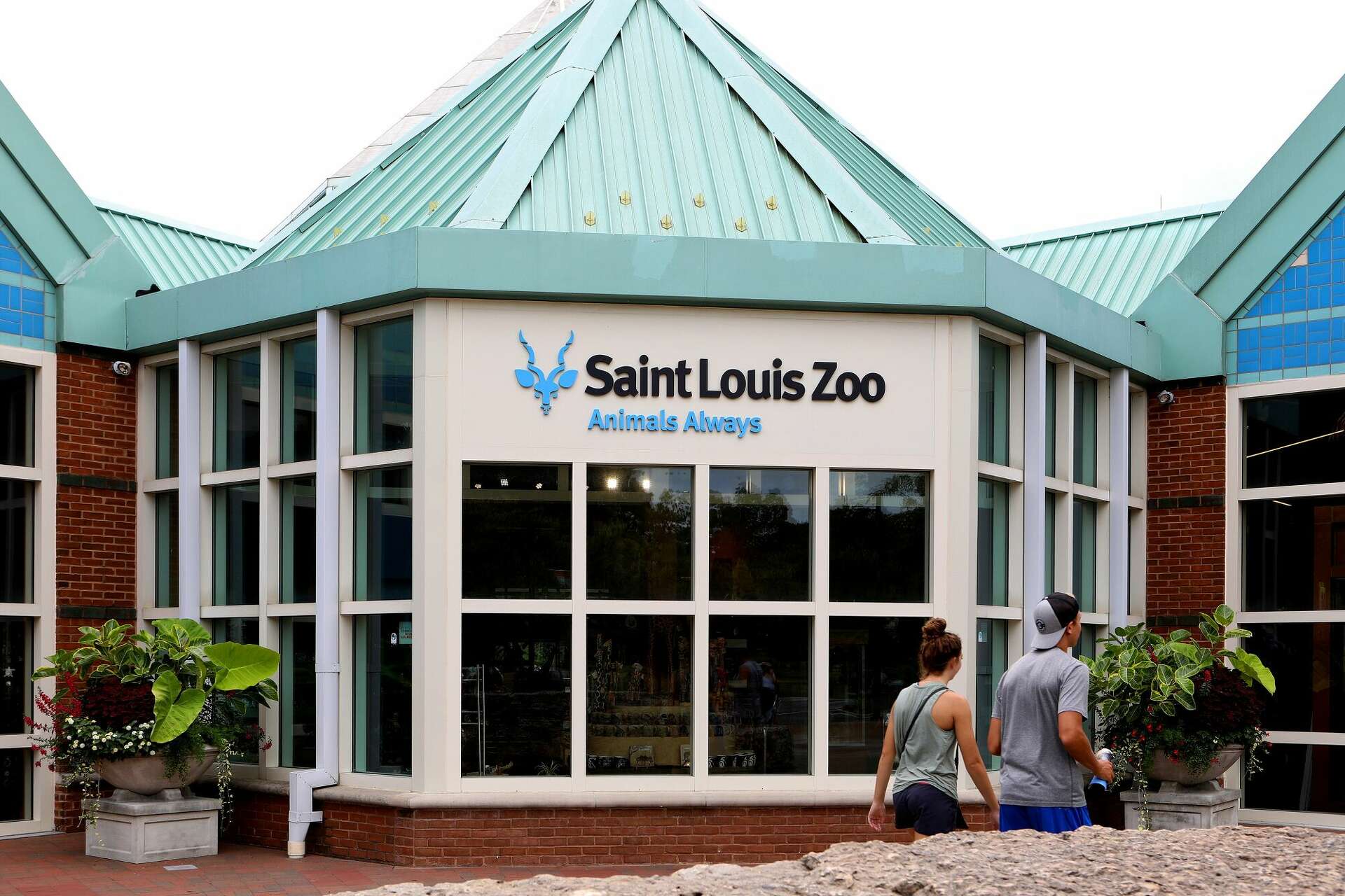 Saint Louis Zoo named top 10 in US; Penguin exhibit also honored
