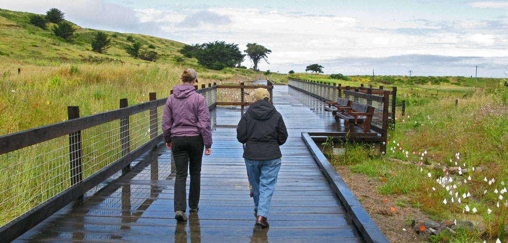 Relish spring with accessible, scenic walks throughout the Bay Area