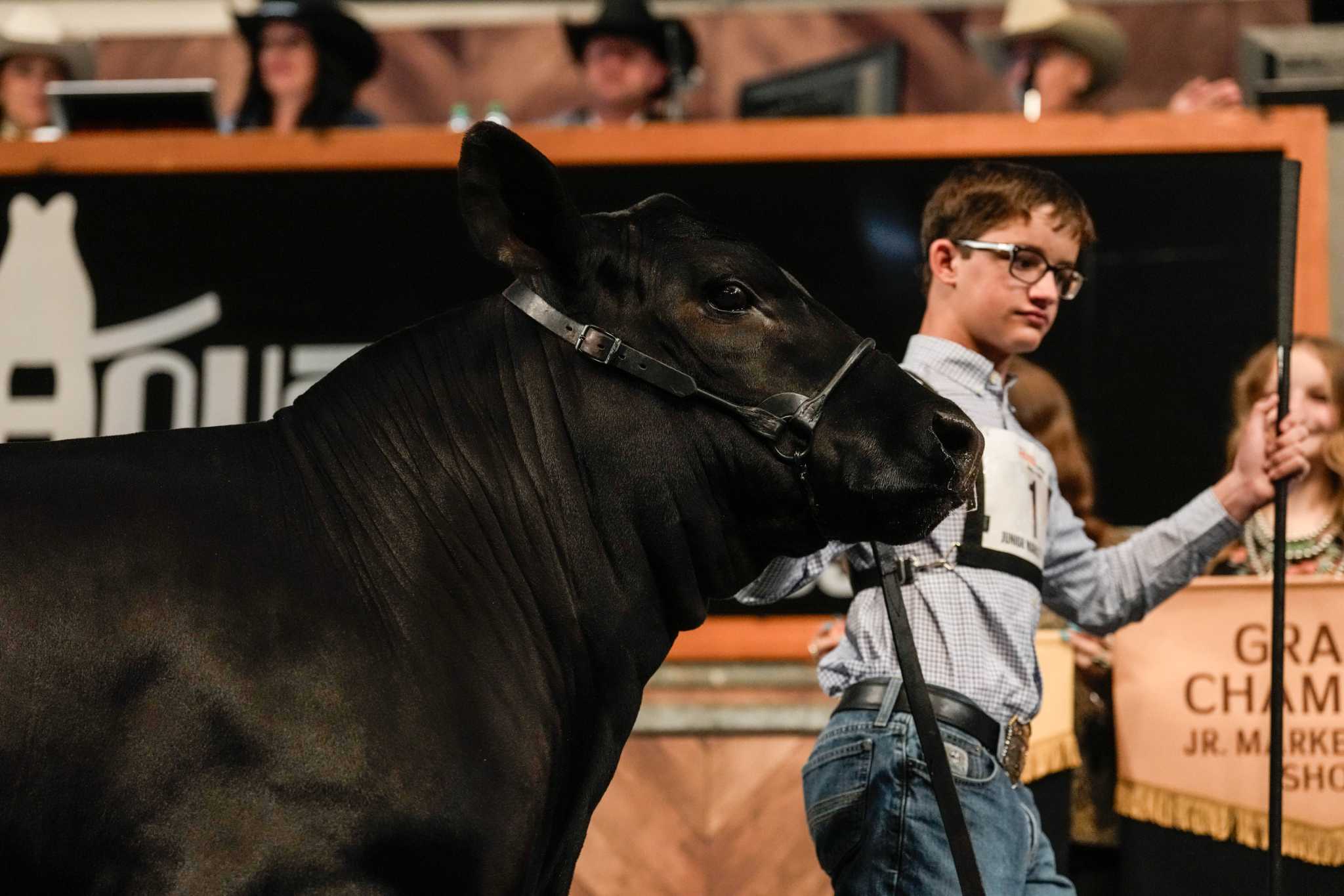 Houston Rodeo steer auction: $690K Reserve Grand Champion sets record