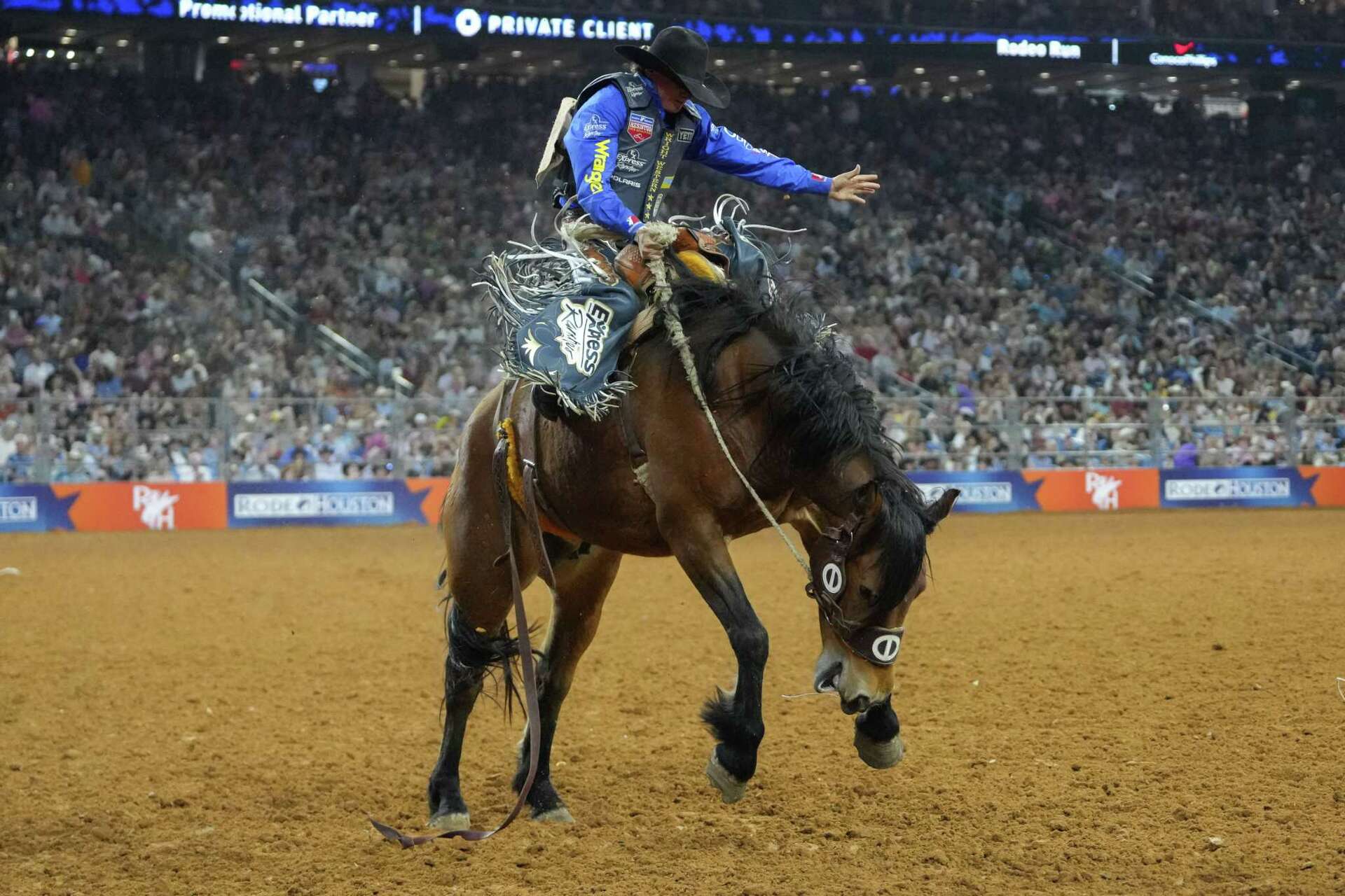 RodeoHouston: Ryder Wright wins saddle bronc