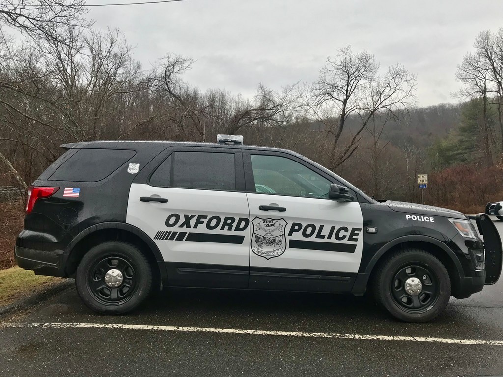 Oxford will move to take more than 30 dogs after owner's arrest