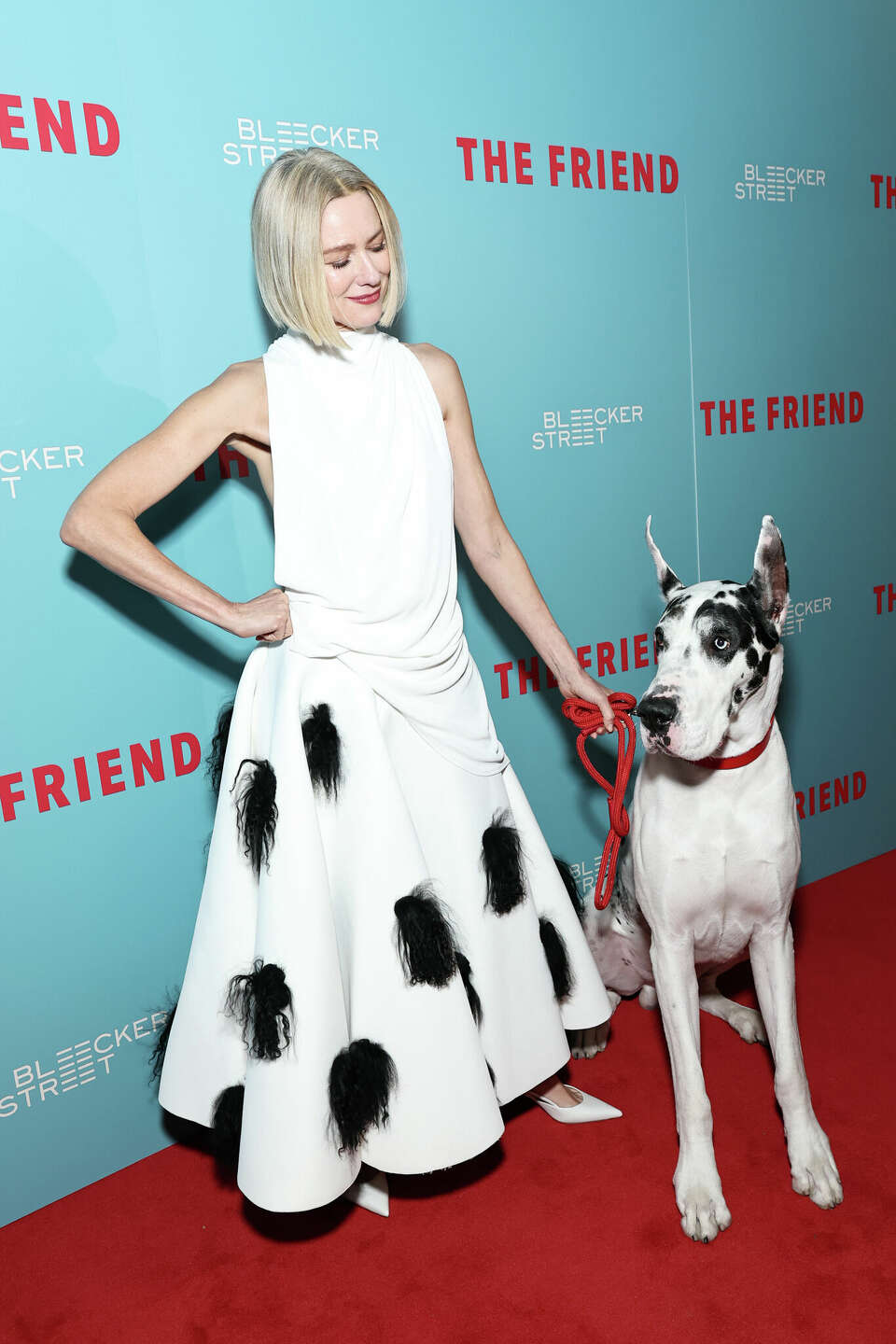 See Naomi Watts match her canine co-star at NYC movie premiere