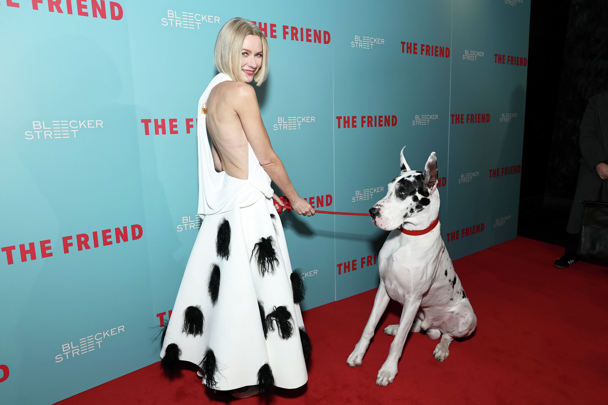 See Naomi Watts match her canine co-star at NYC movie premiere