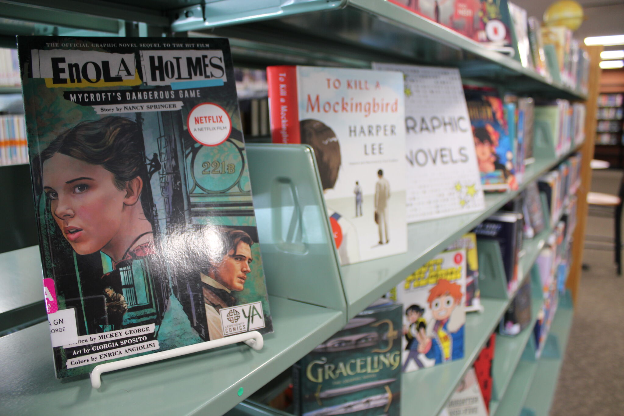 Reed City, Evart, LeRoy libraries kick off summer programs