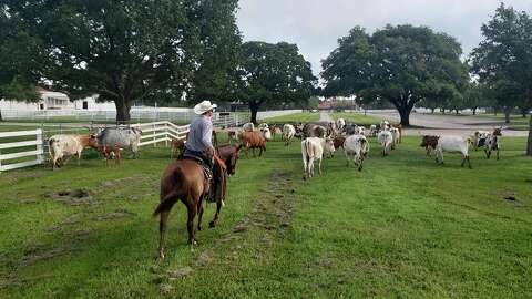 New community breaks ground at Houston’s George Ranch