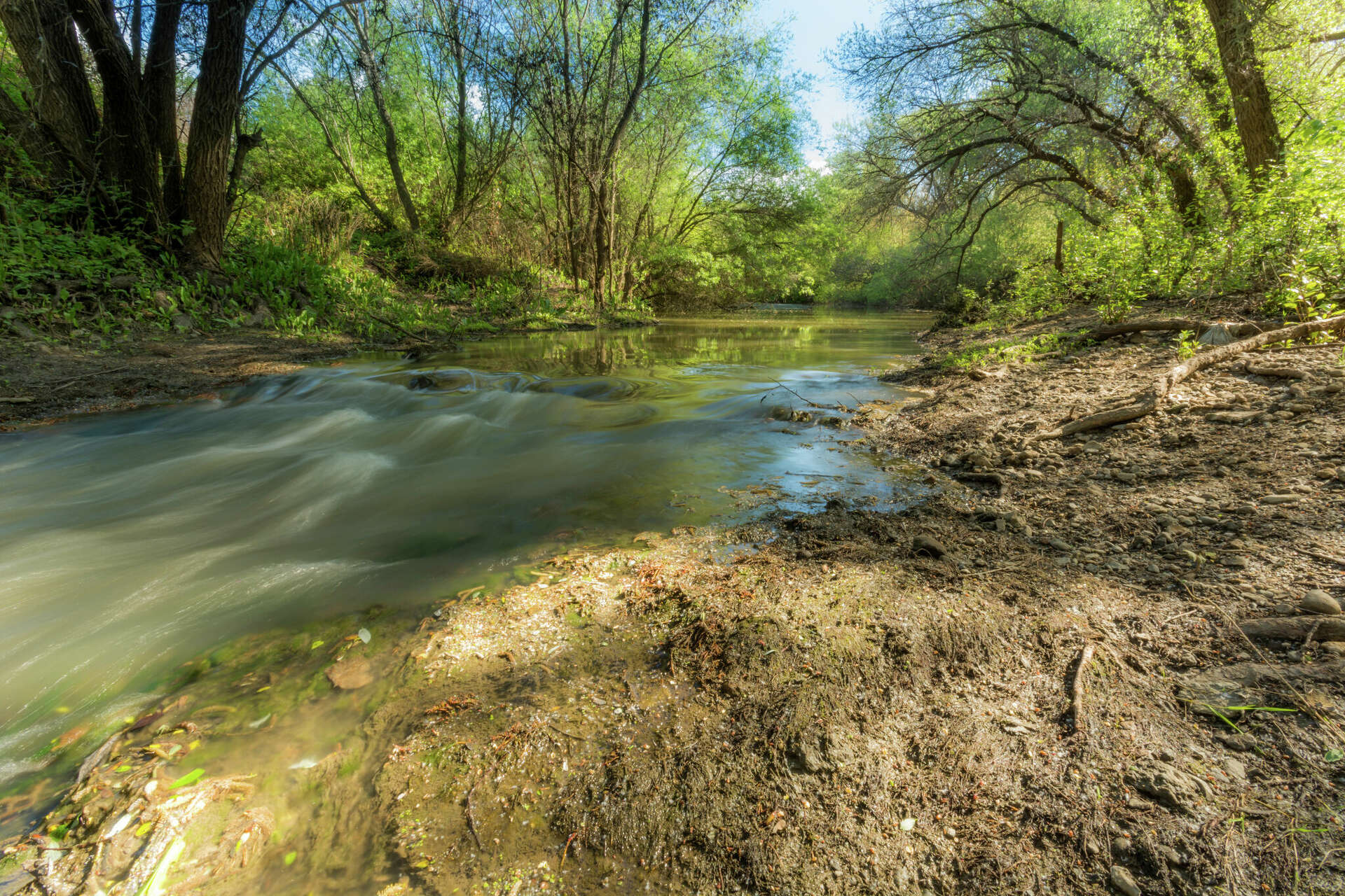 Human remains found in Santa Cruz in 1995 identified as missing teen