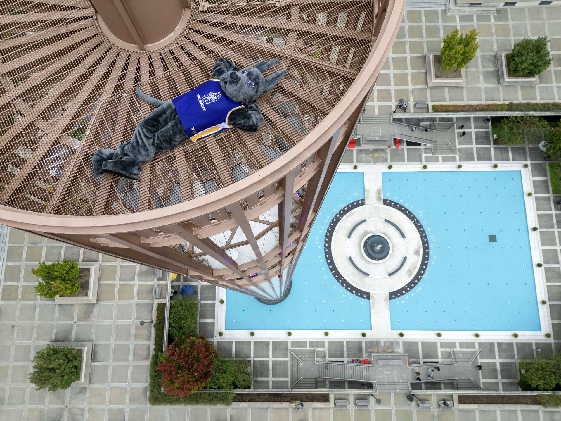 UAlbany's Damien wins SUNY's Mascot Madness