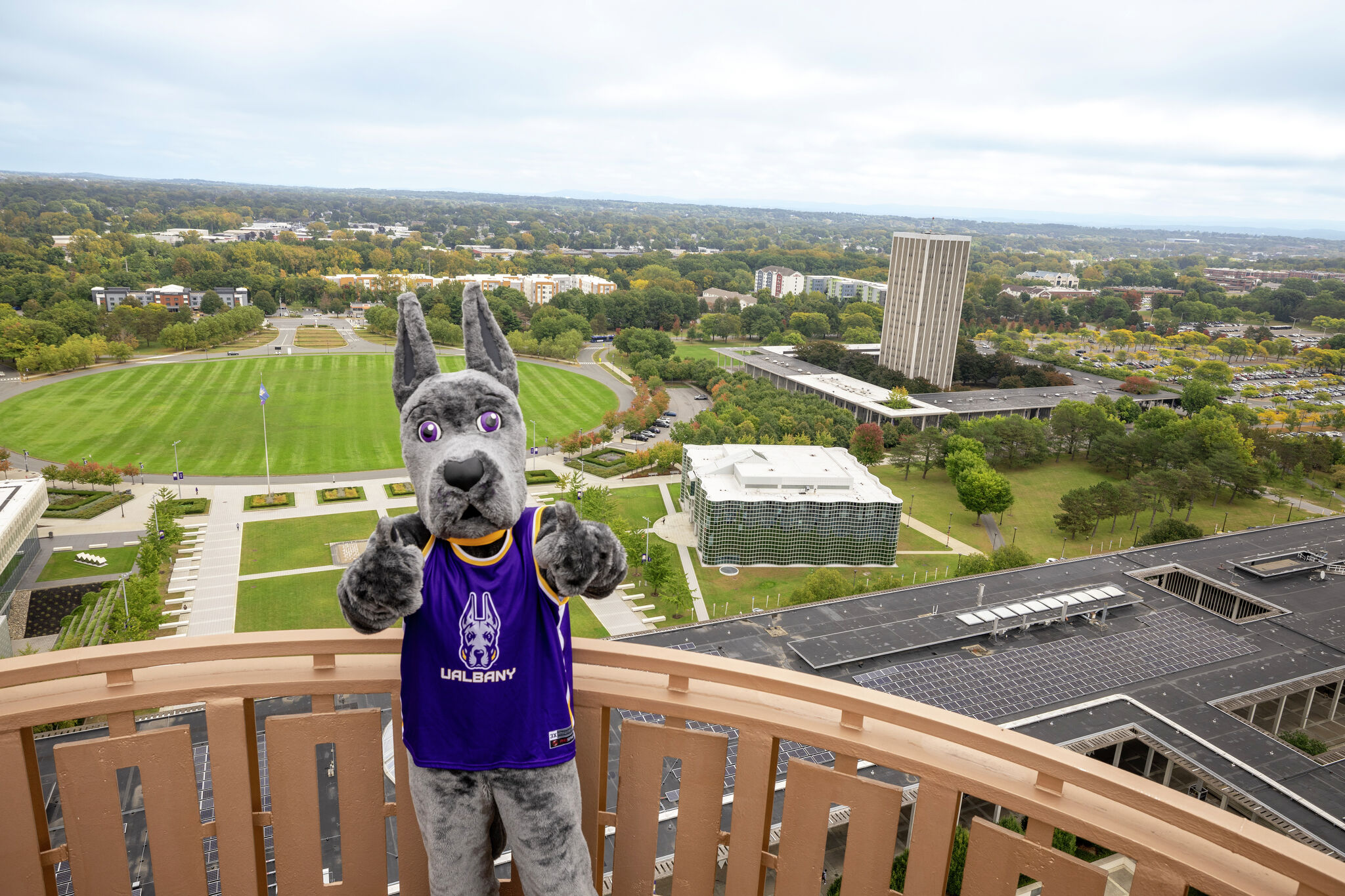 UAlbany's Damien wins SUNY's Mascot Madness