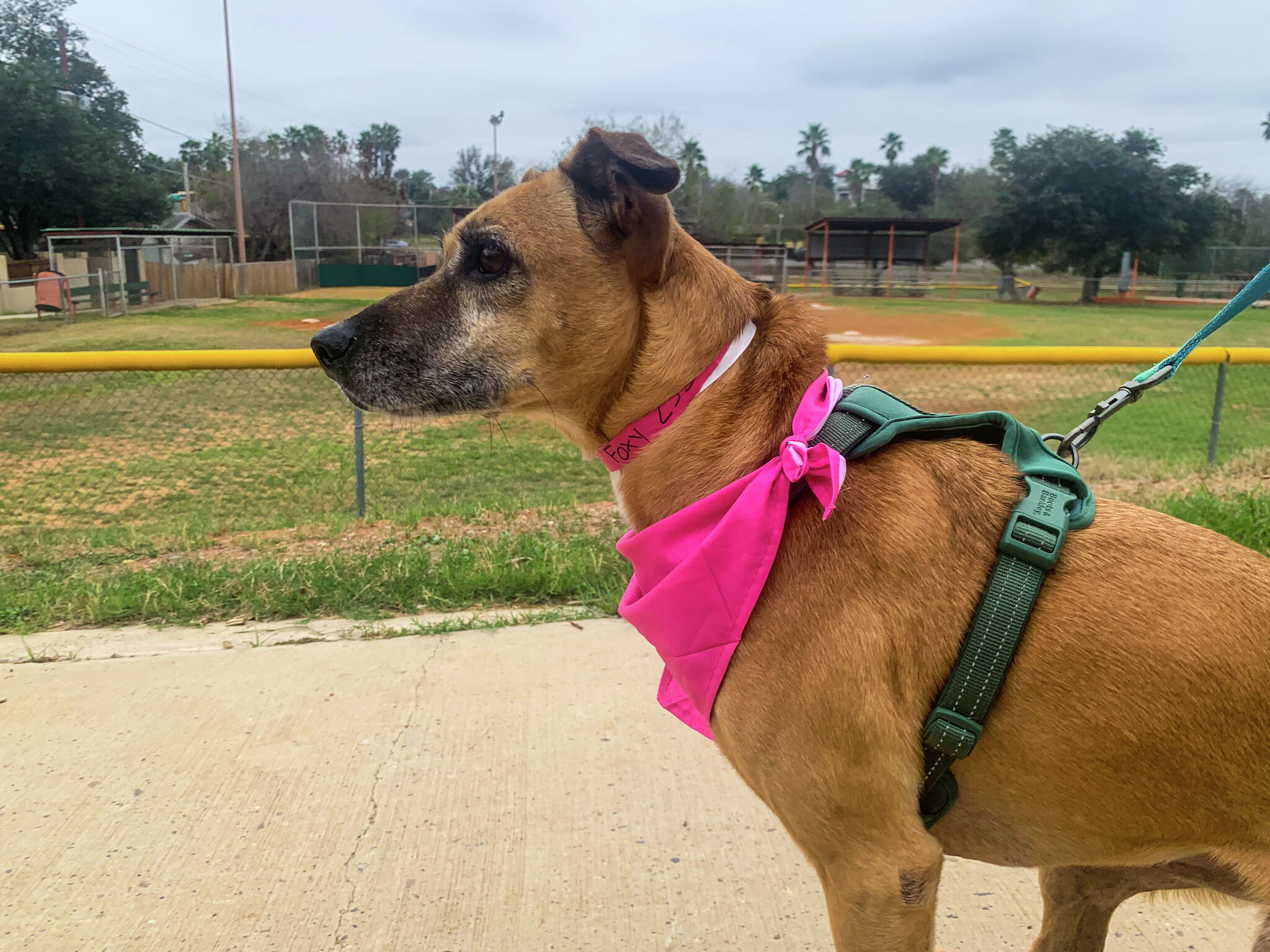 Salvai scores twice as Juventus beats Benfica in Women's Champions ...