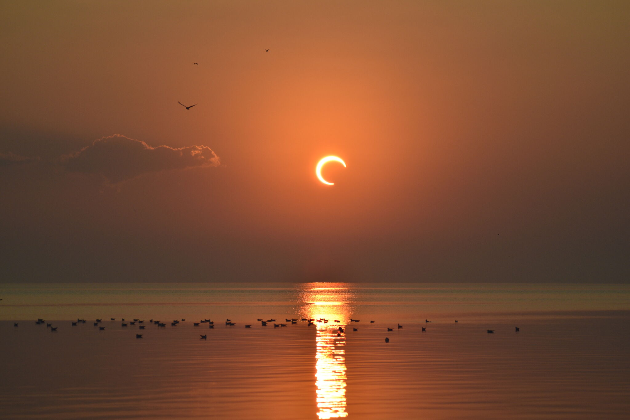 Partial solar eclipse visible on East Coast this Saturday morning