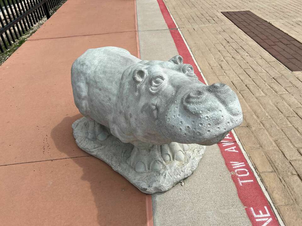 The secret behind Hutto, Texas' hippo obsession
