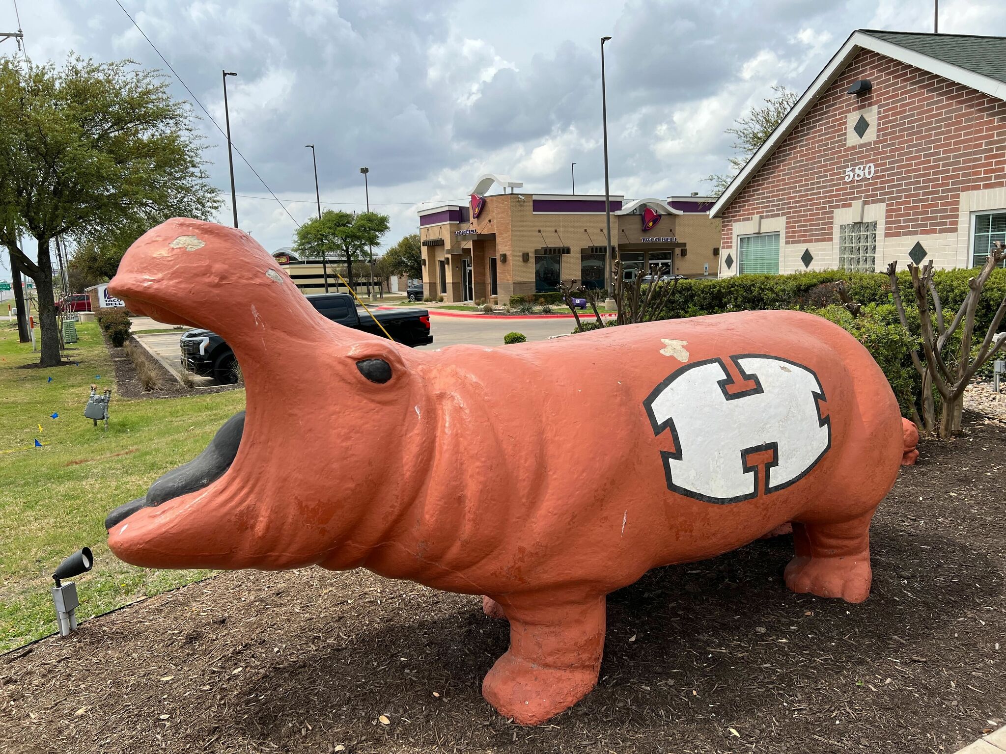 The secret behind Hutto, Texas' hippo obsession