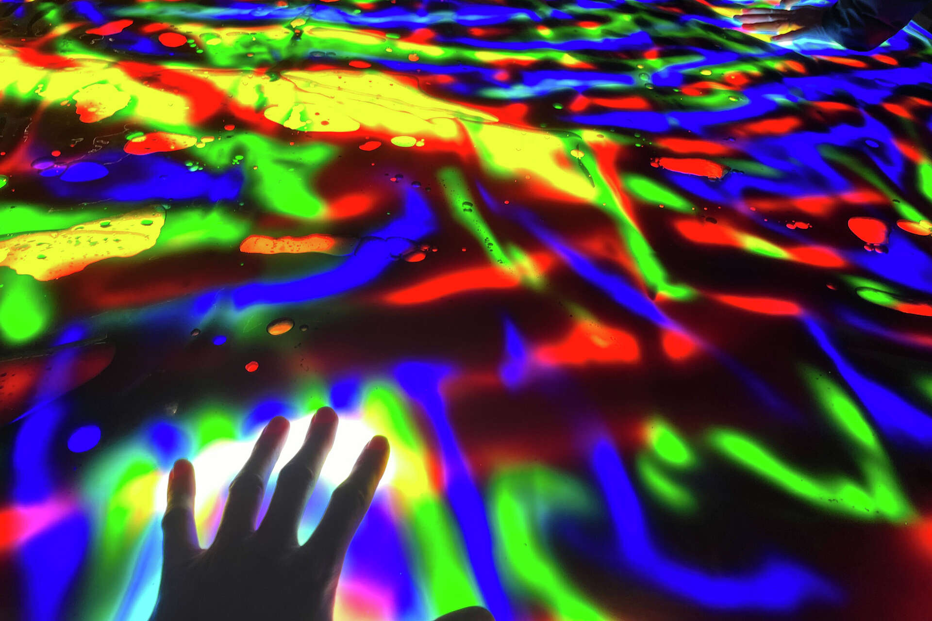 The San Francisco art show with more inflation than 2025 egg prices