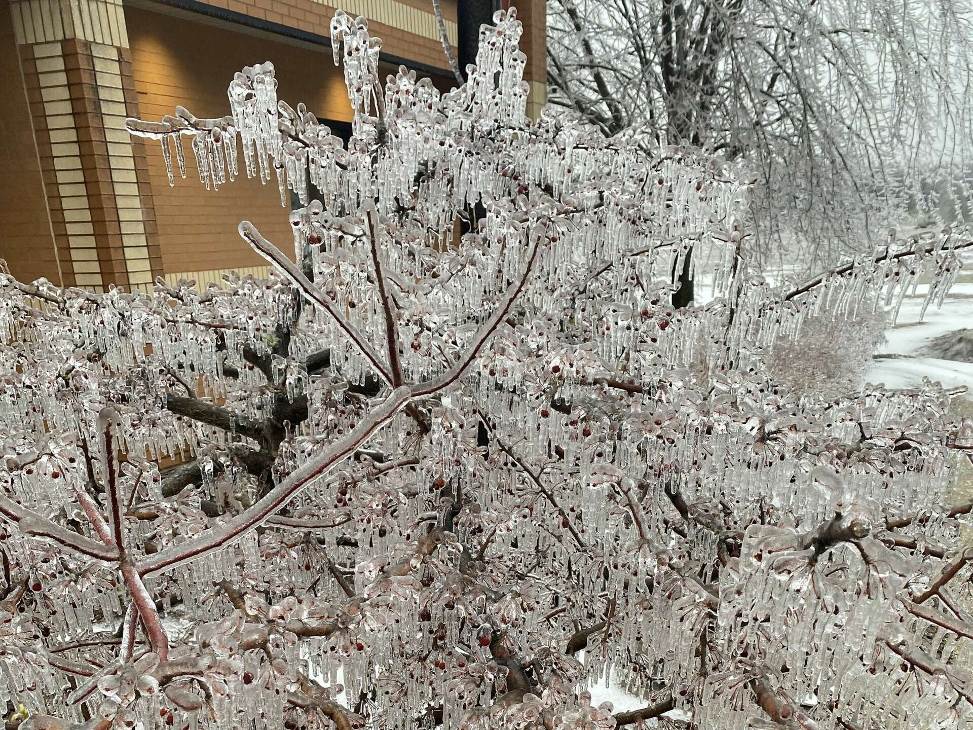 Northern Michigan ice storm cuts power to thousands