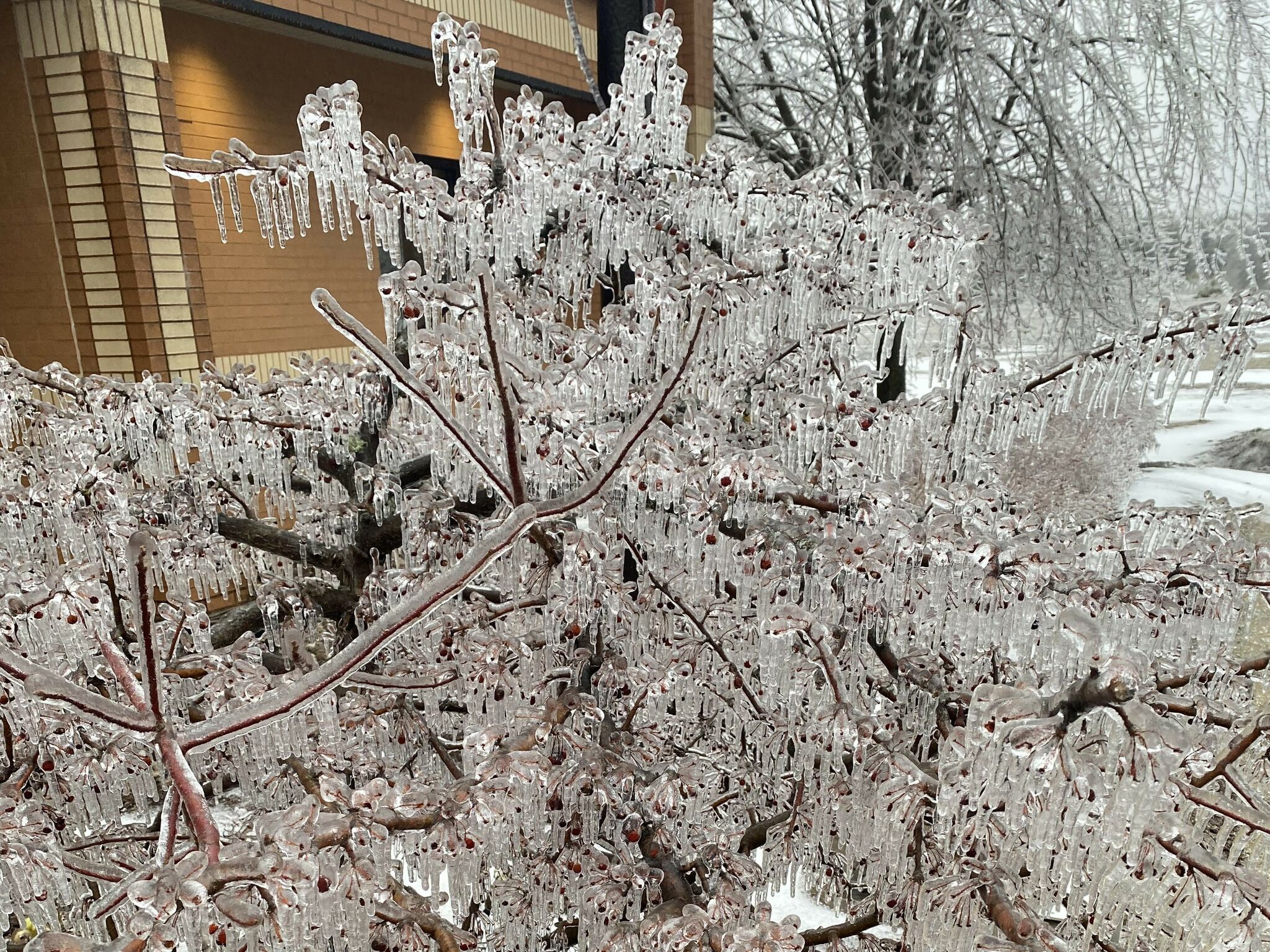 Northern Michigan ice storm cuts power to thousands
