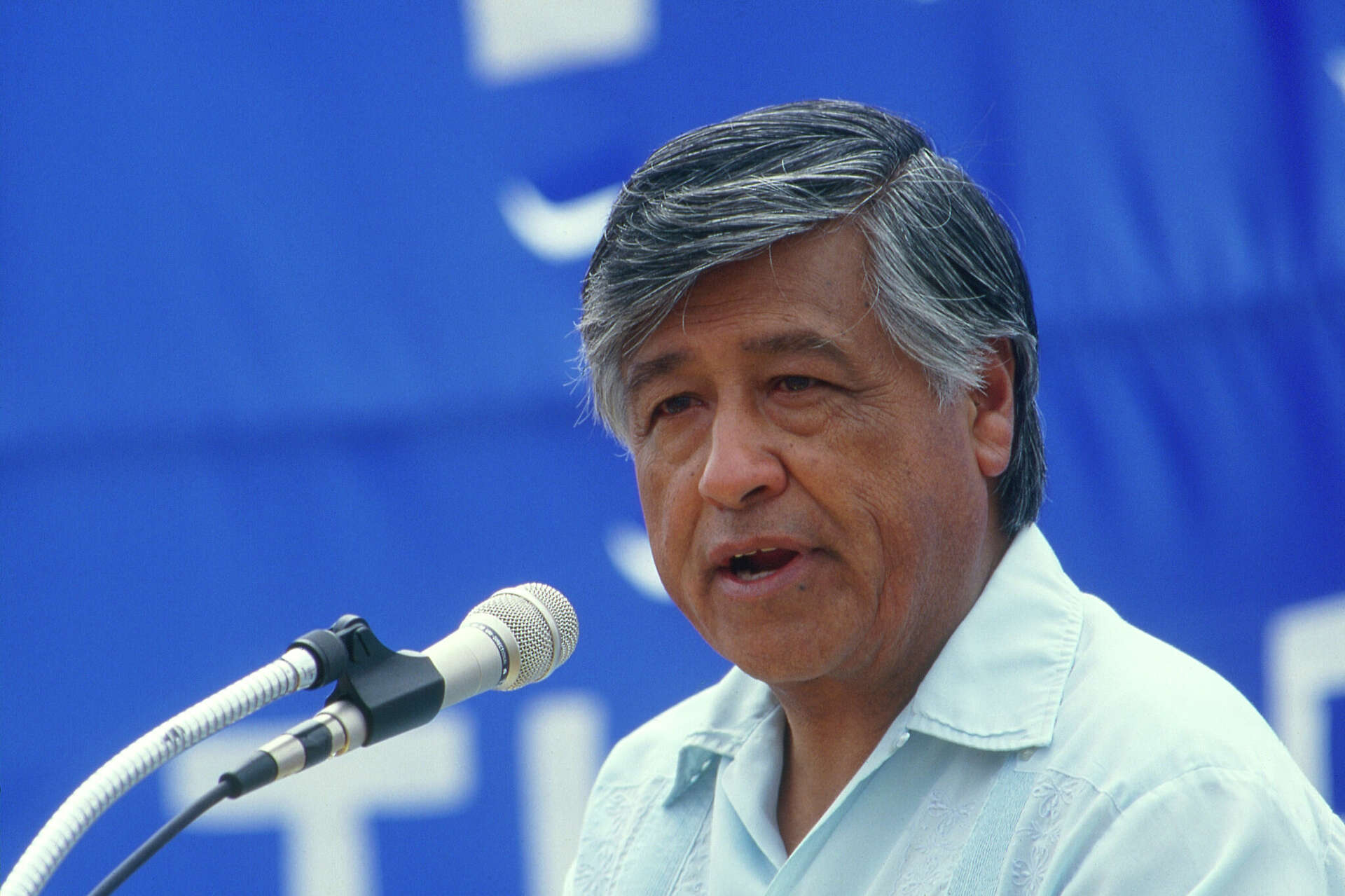 César Chávez Day: The civil rights activist honored every March 31