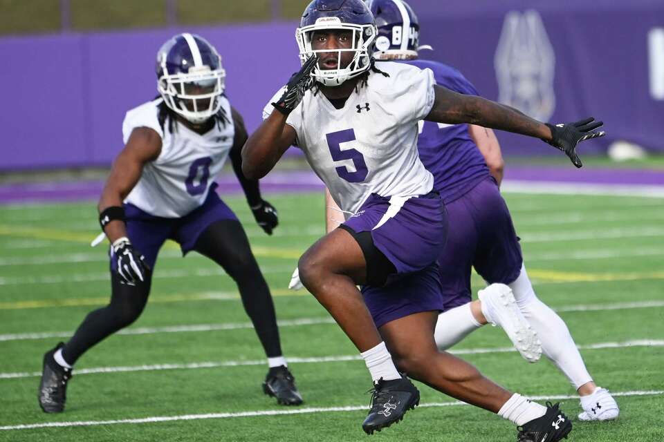 UAlbany Great Danes