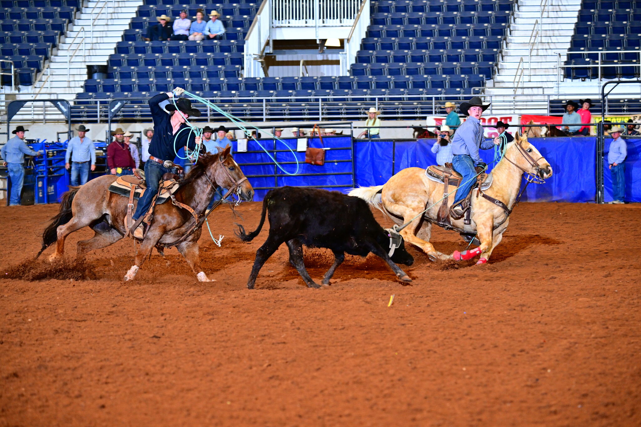 Seven Midland area students heading to Texas state finals rodeo