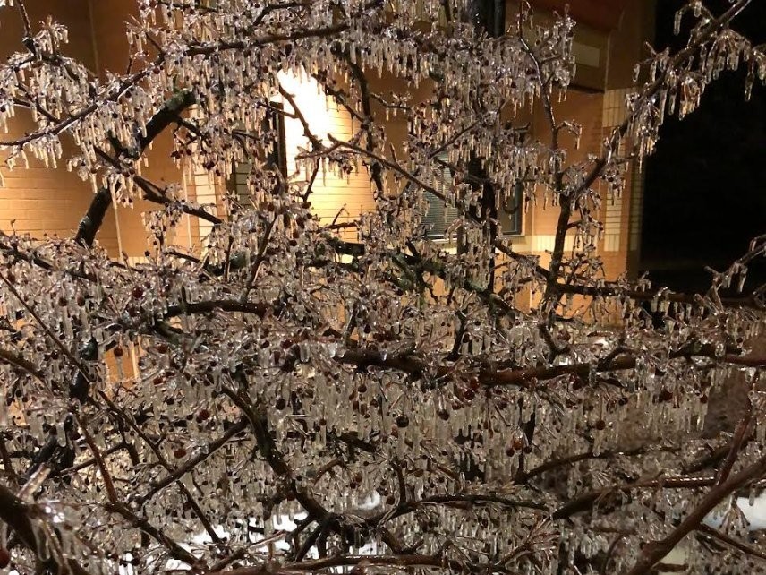 Several Michigan State Parks and Trails remain closed after ice storm