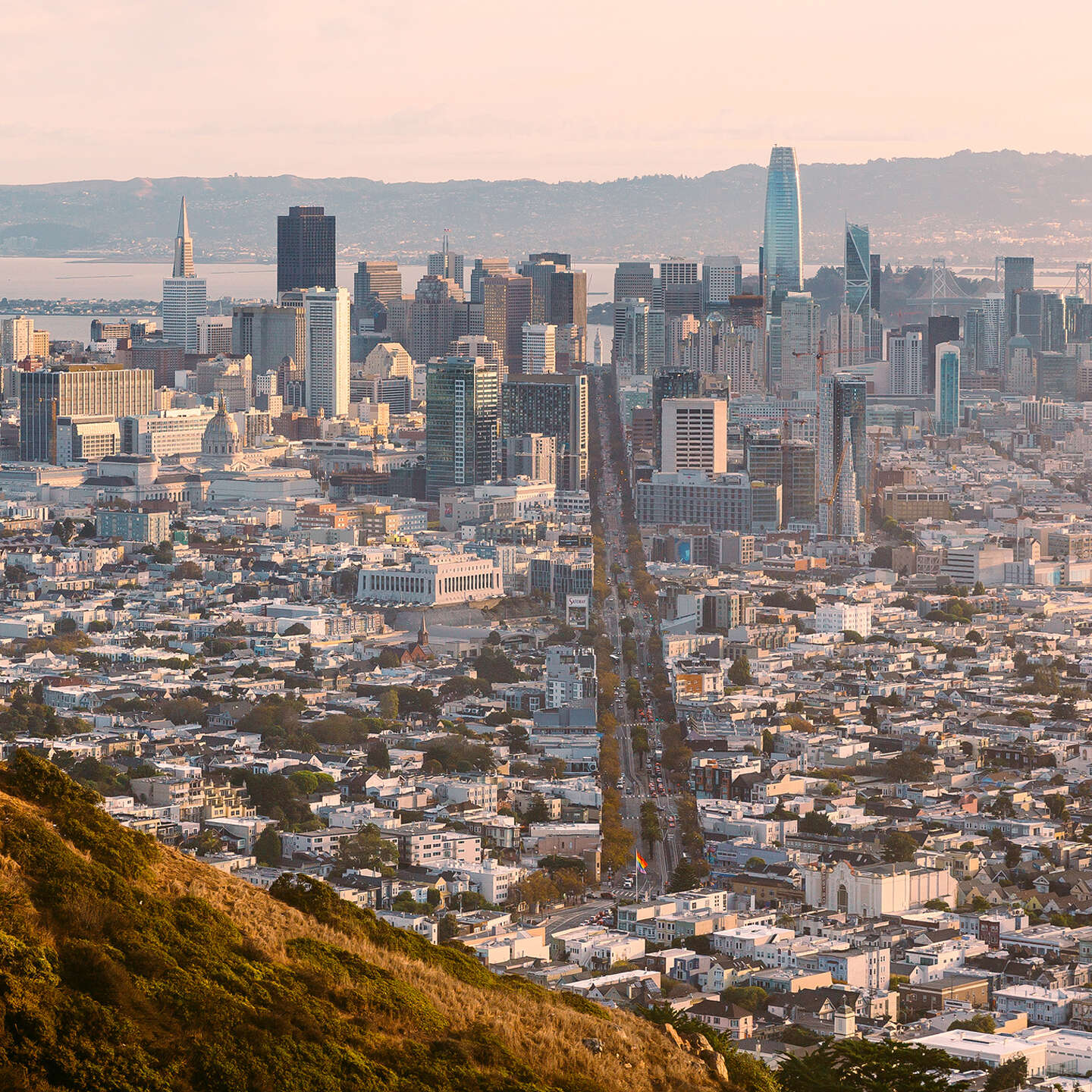 SFGATE: San Francisco Bay Area News, Sports, Culture, Travel, Food and ...