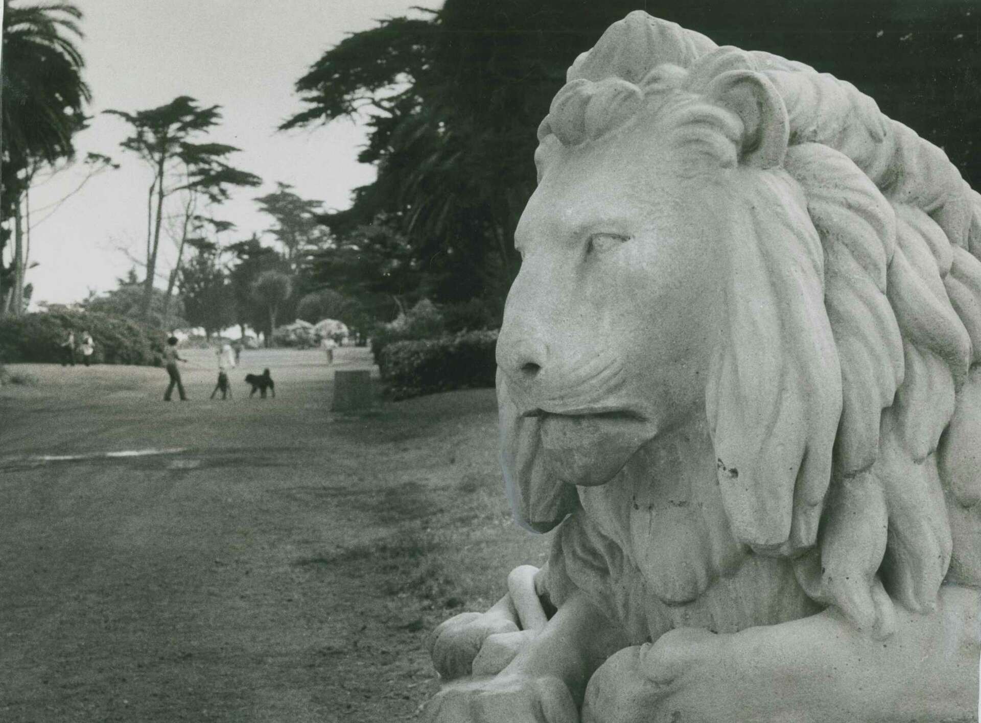 Sutro Heights Park in San Francisco is a mystical, romantic delight