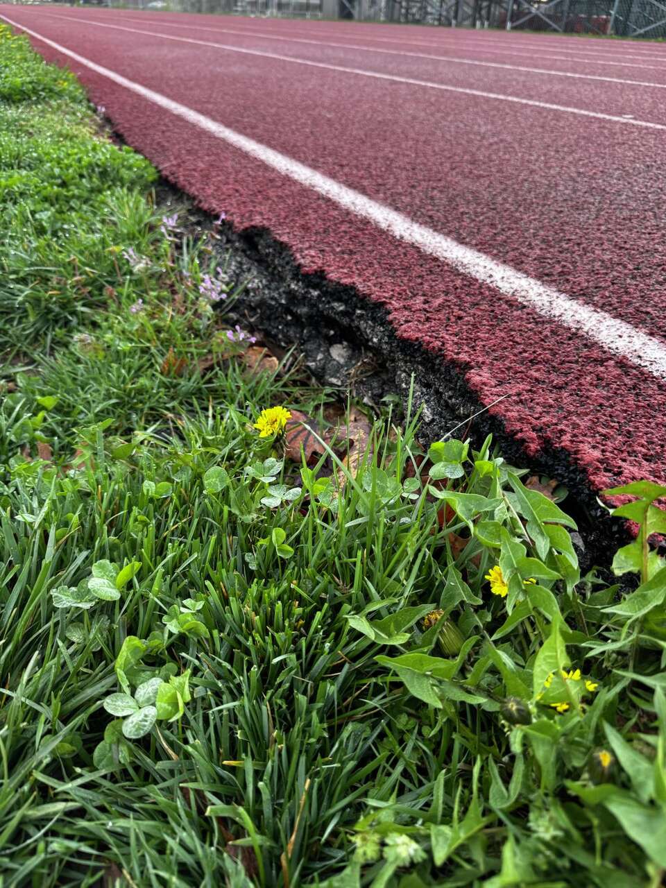 EHS track, softball coaches say facilities need upgraded