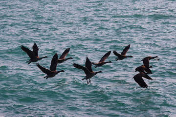 Elizabeth Packard new namesake of state mental health center