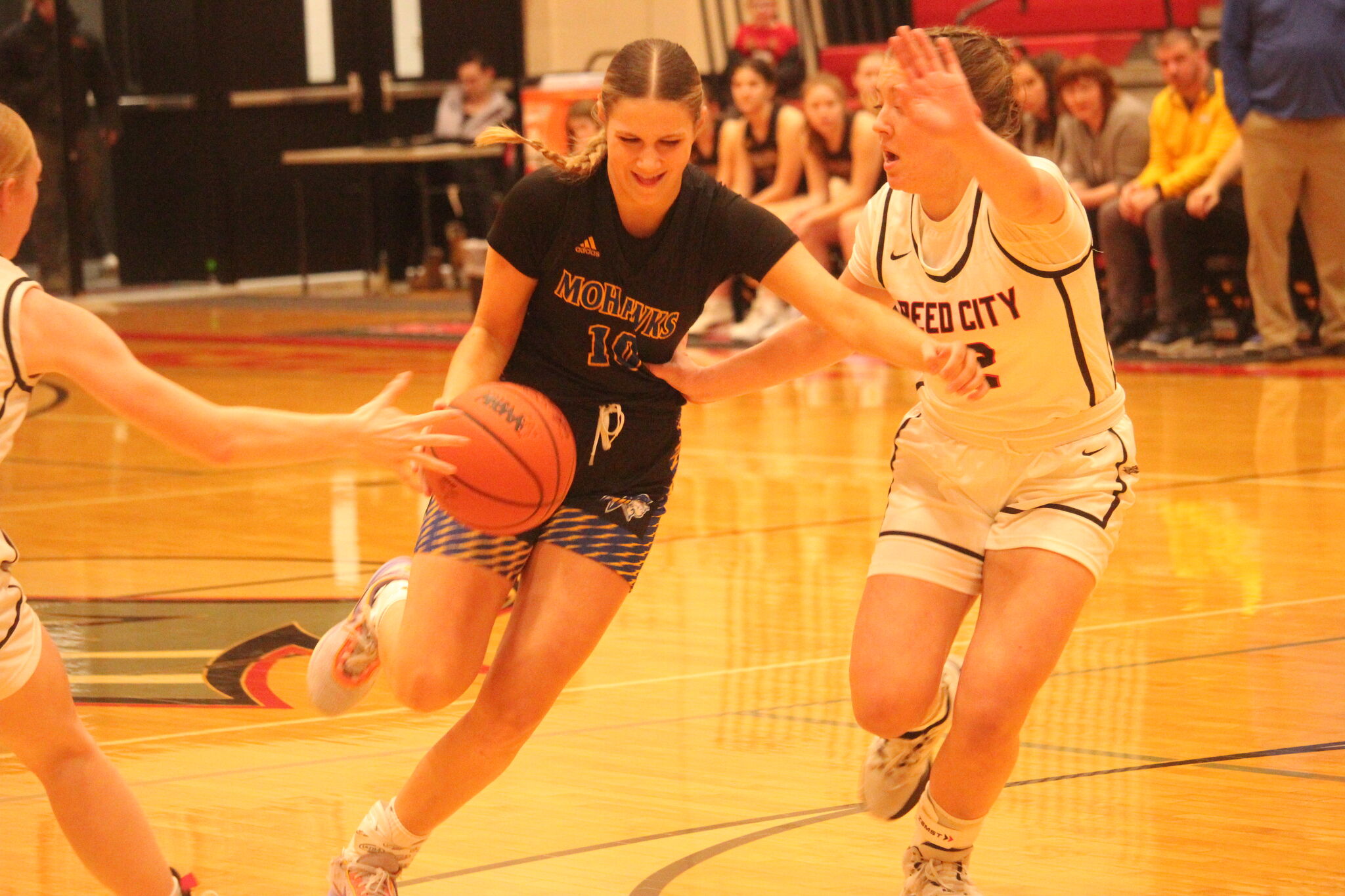 Reed City scorer was a record-breaker