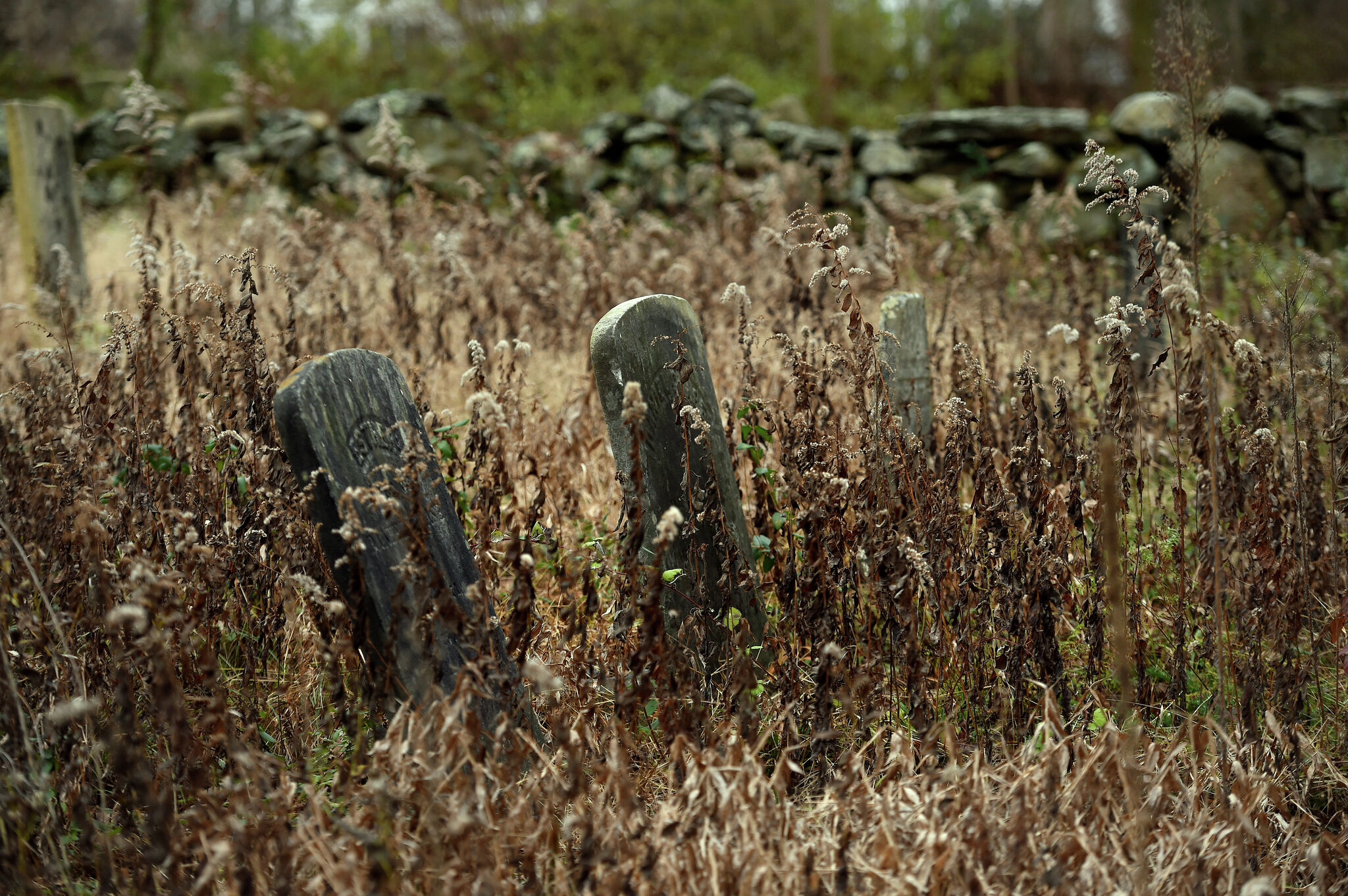 CT giving 37 towns, cities grants to maintain neglected cemeteries