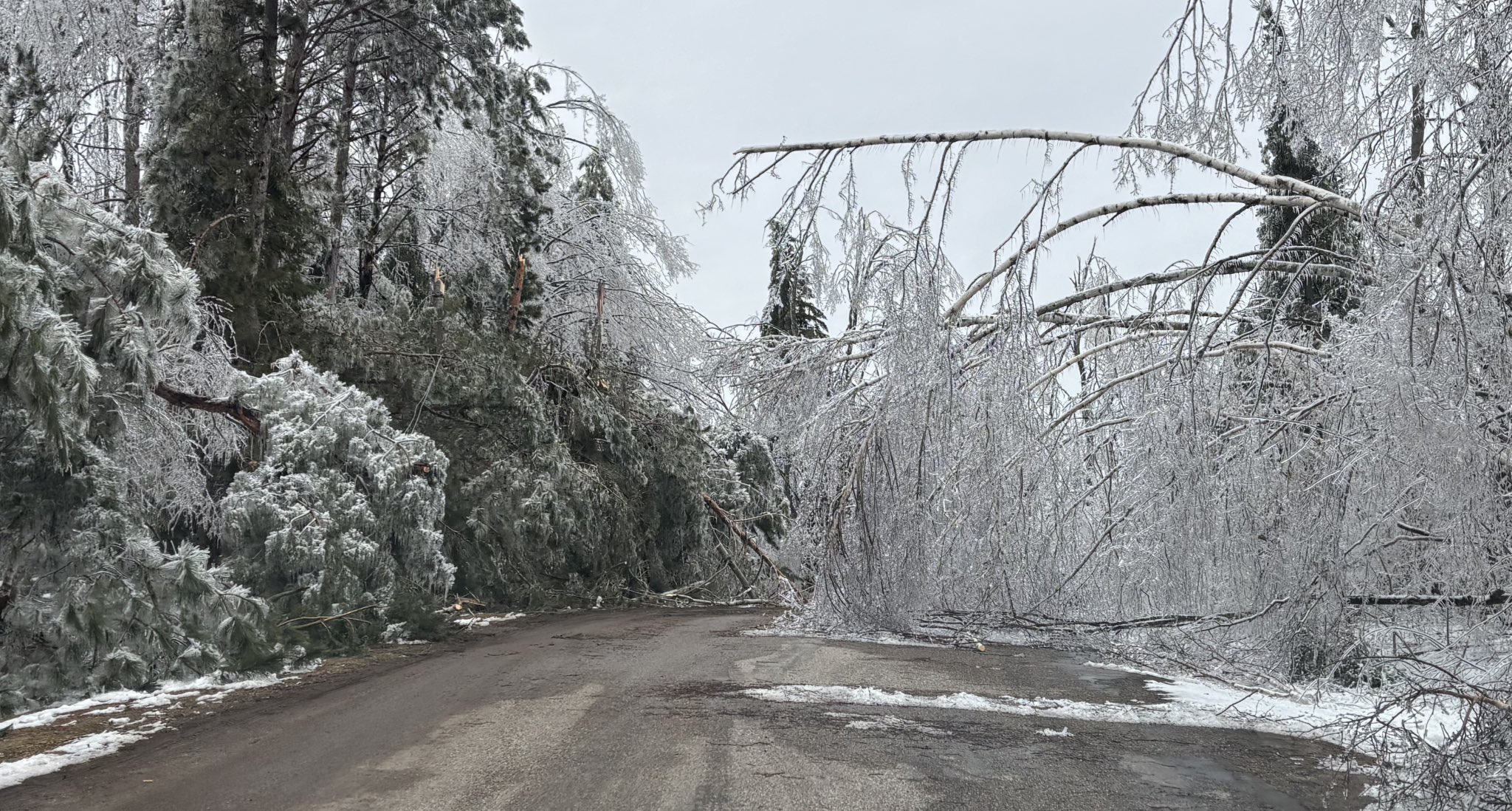 Northern Michigan continues recovery from ice storm, Whitmer visits