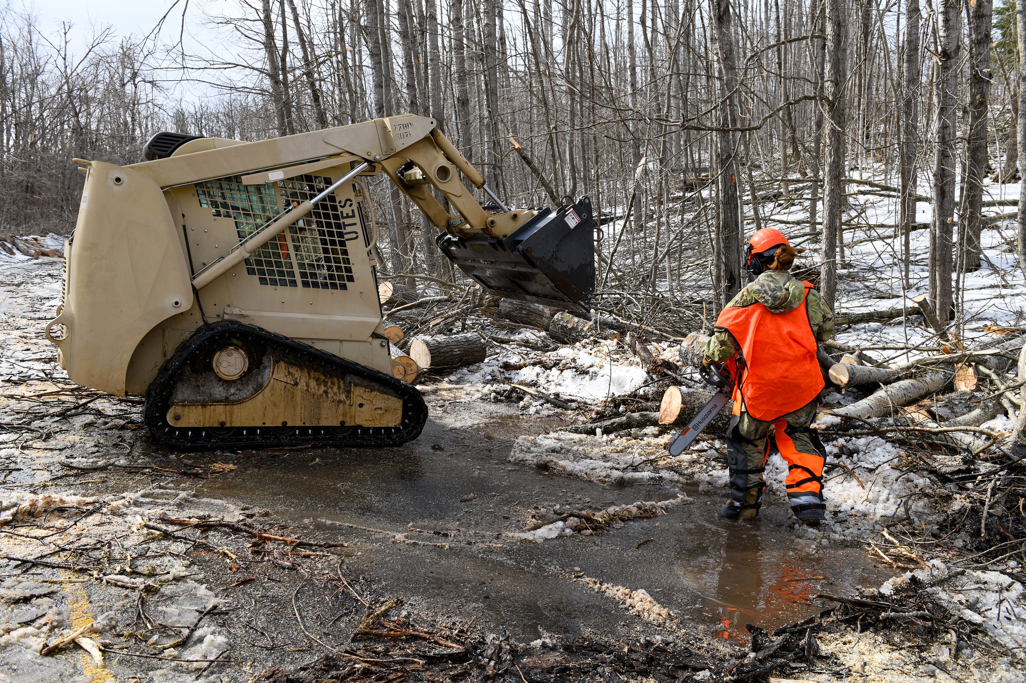 Climate extremes damage forests in devastating ways