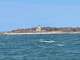 With Plum Island’s future in flux, here’s what makes it unique