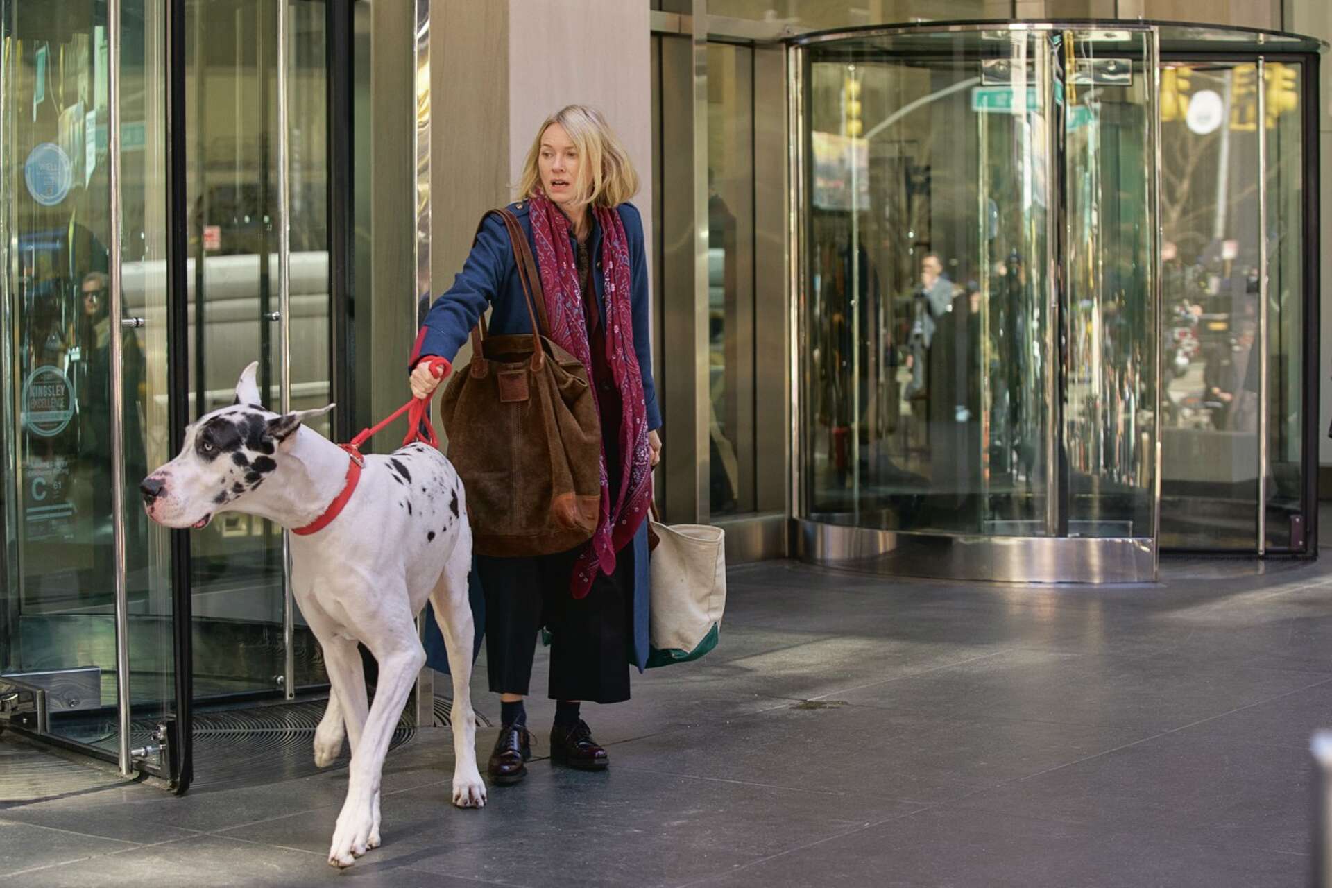 'The Friend' with Naomi Watts, Bill Murray stars 155-pound Great Dane