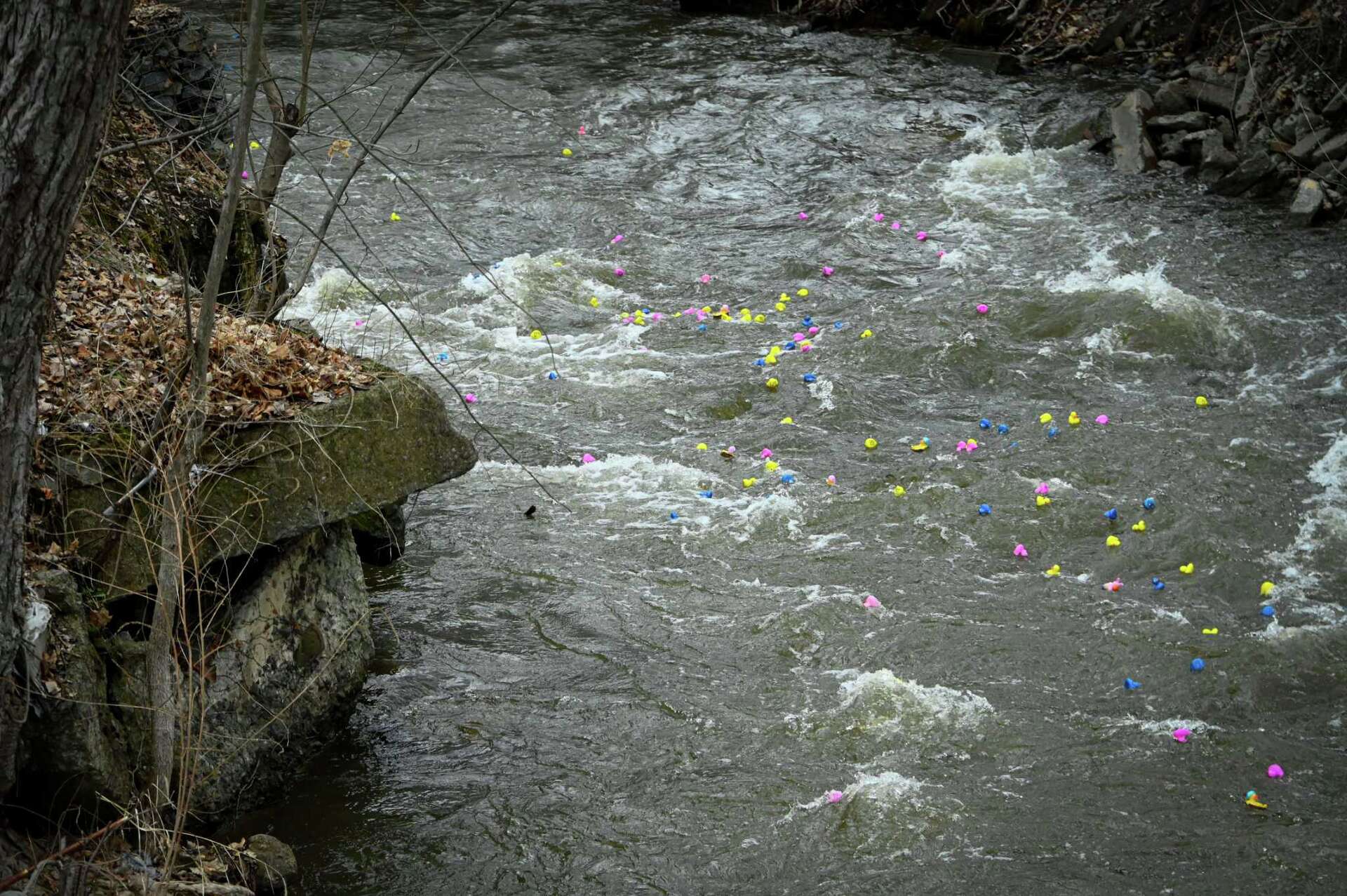 Photos: Alien! Bubbles! Take a gander at Anything That Floats contest