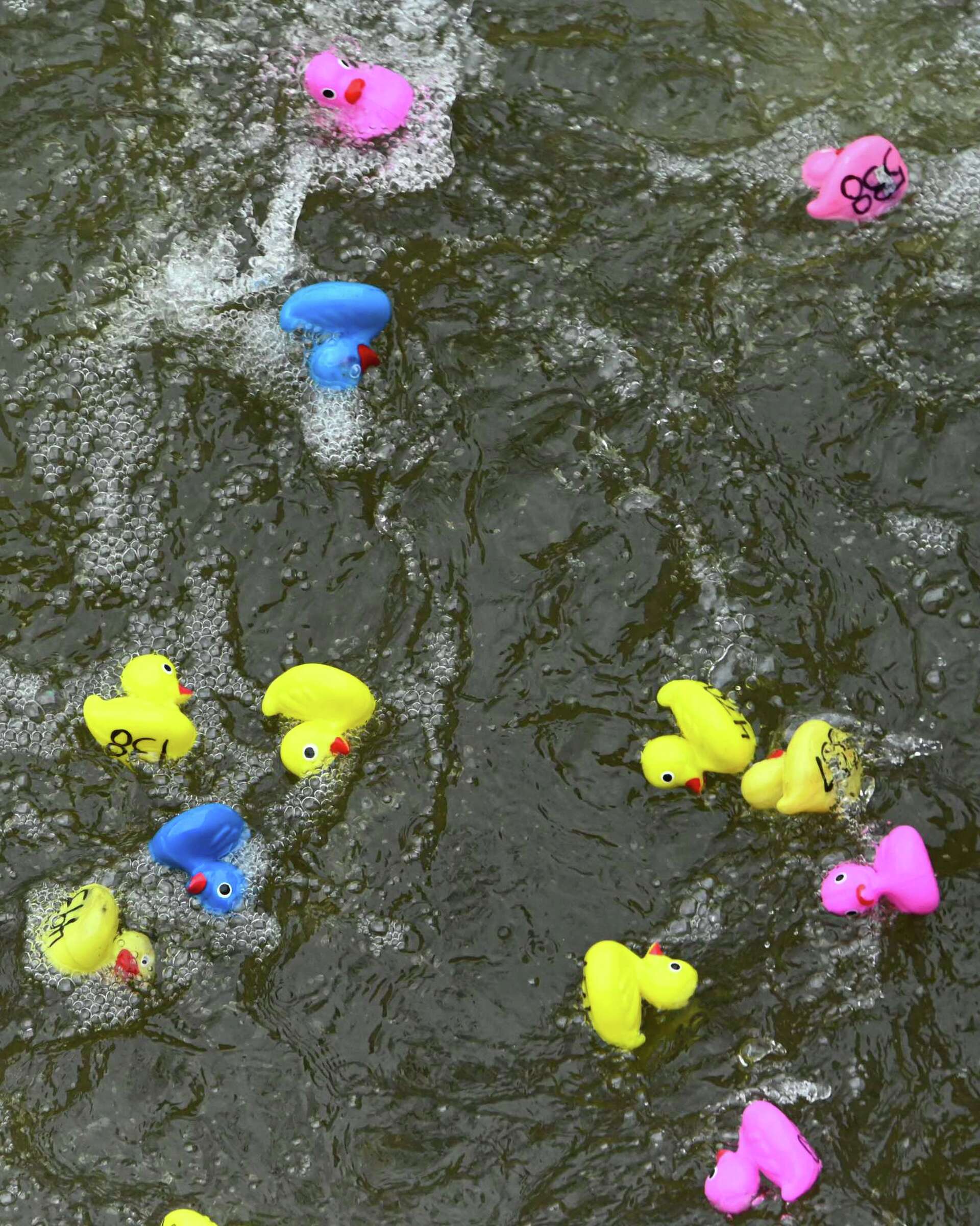 Photos: Alien! Bubbles! Take a gander at Anything That Floats contest