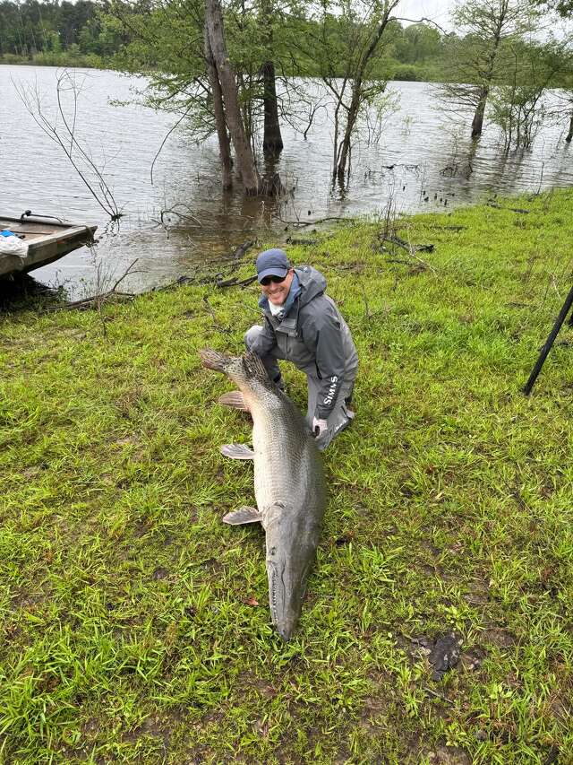Art Weston catches record-breaking alligator gar in Texas