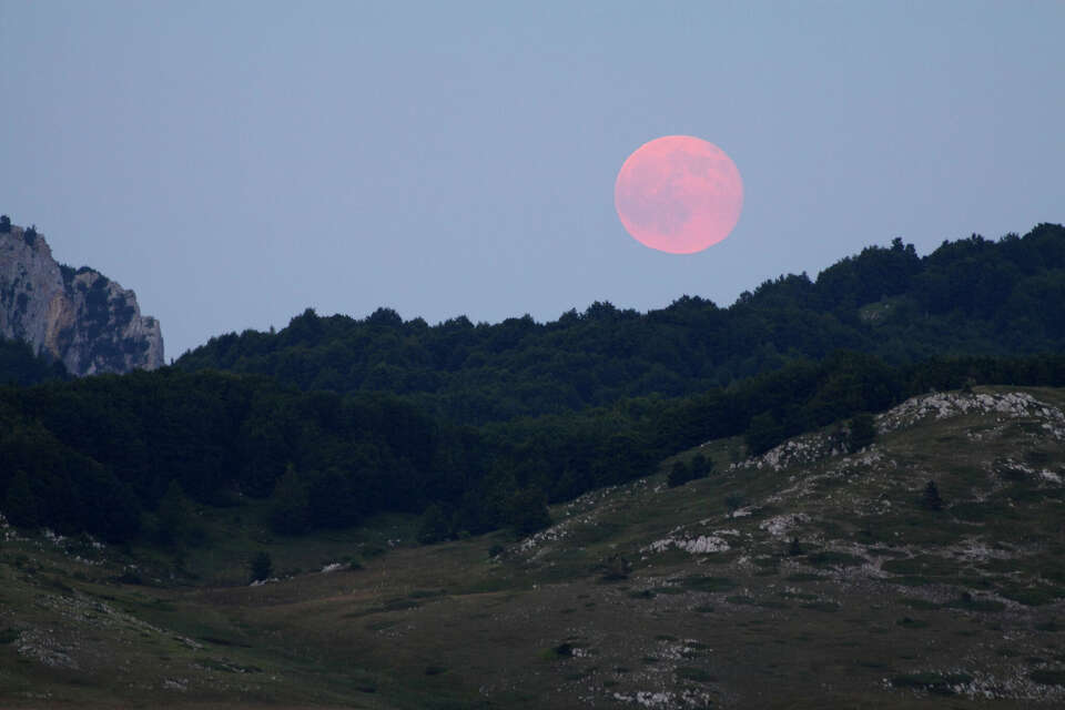 Rare Pink Moon to shine over Texas. Here's when.