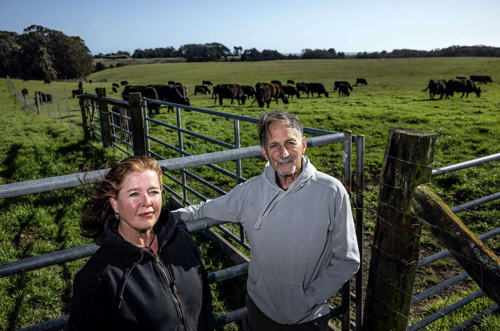 Legendary California beef rancher fears for the future of Point Reyes