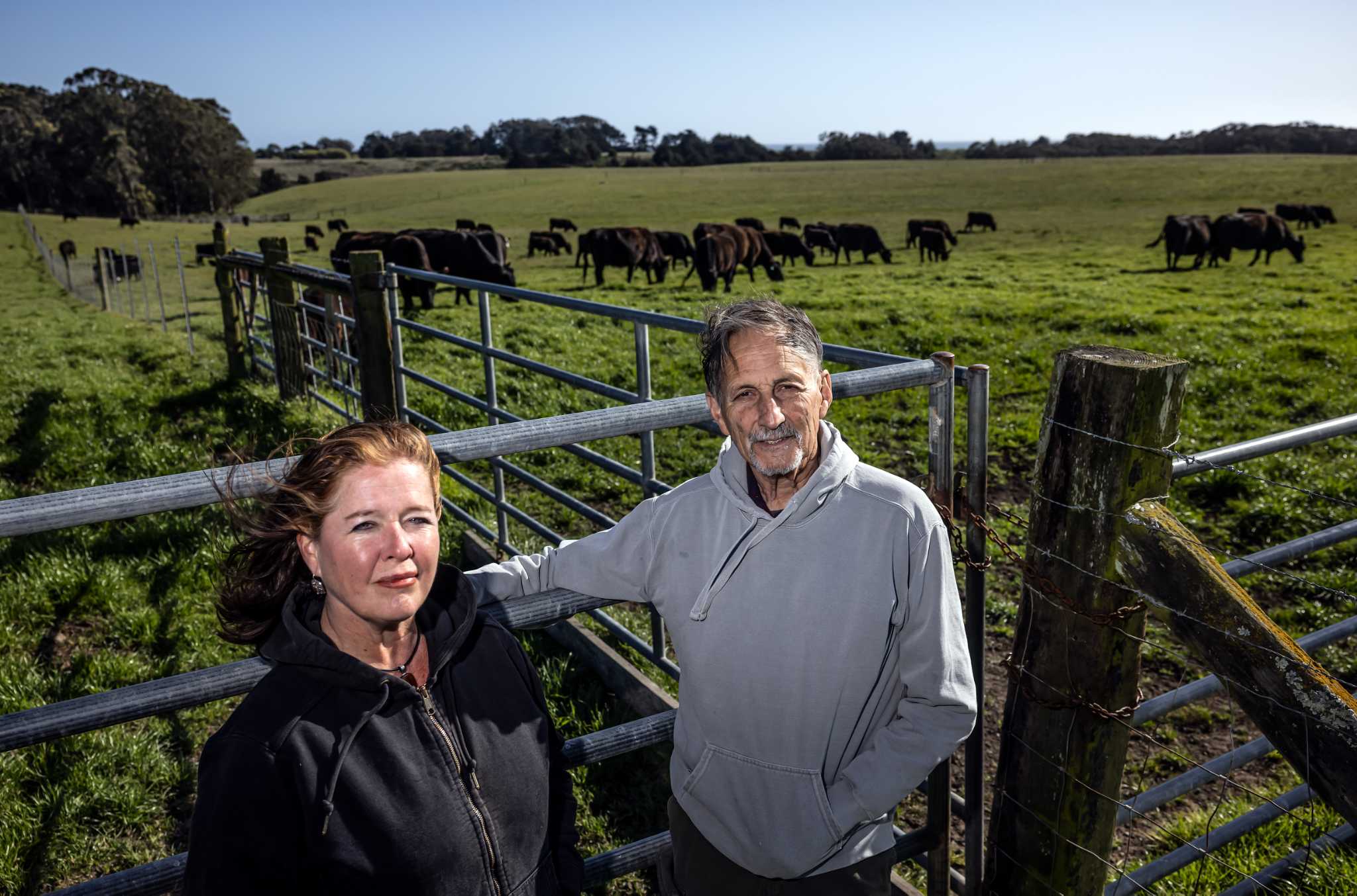 Legendary California beef rancher fears for the future of Point Reyes