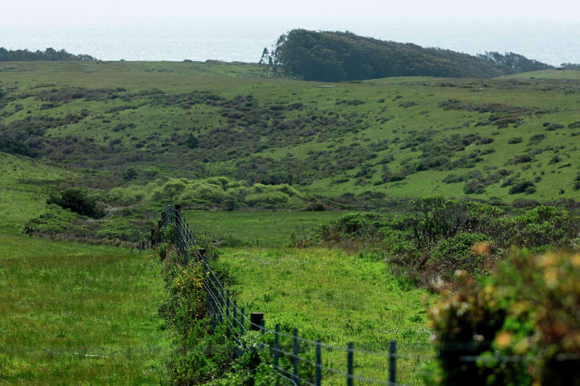 Legendary California beef rancher fears for the future of Point Reyes